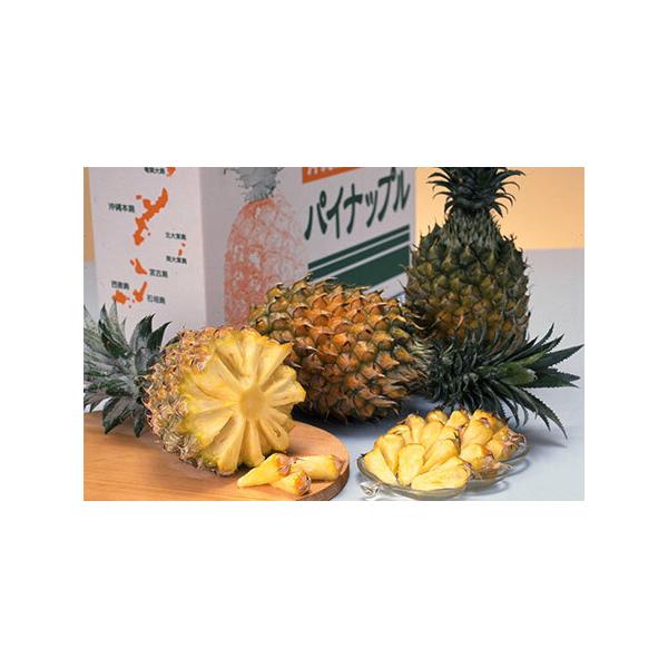 ■ 容量　スナックパイン(ボゴール種)２．２ｋｇ（２玉〜５玉）■ 配送について　2026年4月20日から順次発送予定　※天候や気候の影響により、収穫時期が前後する場合があります。予めご了承下さい。　　2026年3月31日まで受付 ※在庫無く...
