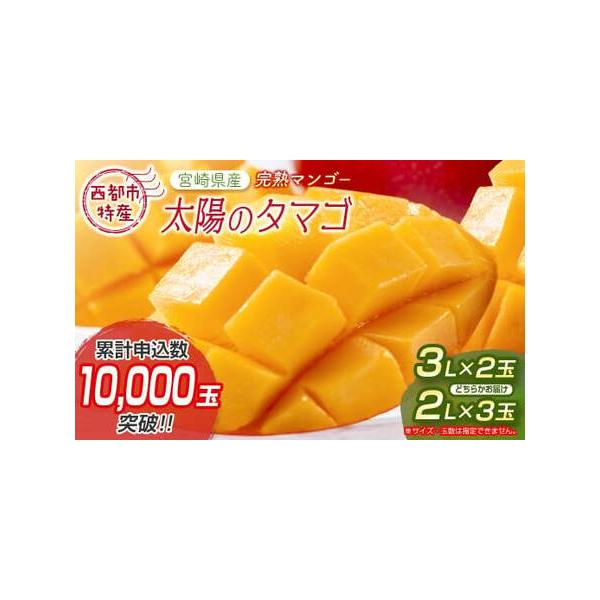 ■ 容量　太陽のタマゴ　　2Lサイズ3個、もしくは3Lサイズ2個のどちらかのお届けになります。　指定はできません。　■ 配送について　令和8年4月下旬7月末まで順次発送予定　※天候等により、発送時期が多少遅れる場合がございます　※生ものです...