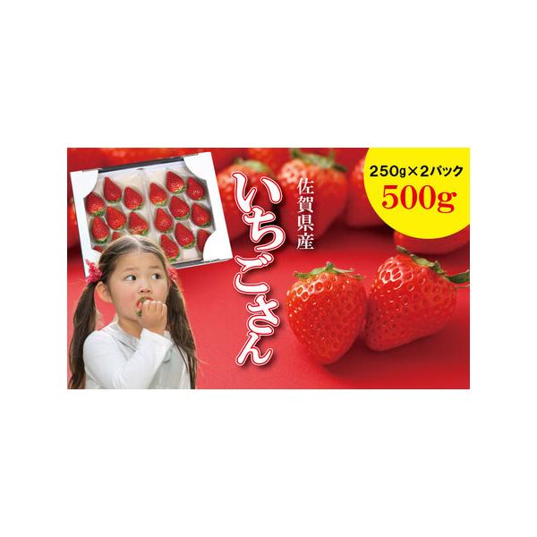■ 容量　いちごさん（約250g）×２セット■ 配送について　※1月中旬頃〜3月下旬頃まで順次出荷（指定日不可）　※収穫次第、随時出荷をしていますが、いちごの生育、天候状況により配送時期が前後する場合がありますので予めご了承ください。　　発...
