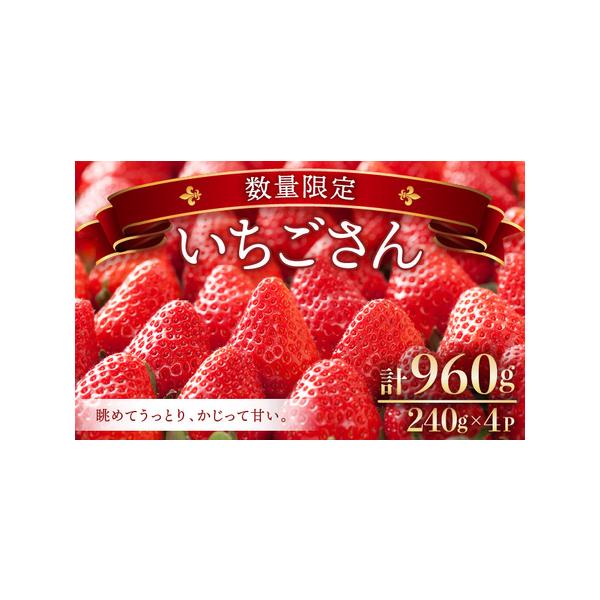 ■ 容量　240g×4パック（計960g）　■ 配送について　順次発送いたします。　3月末頃までに発送を予定しておりますが、天候や発育状況によりお待たせする場合がございます。　配送日の指定はできません。　以上、予めご了承いただきお申し込みく...