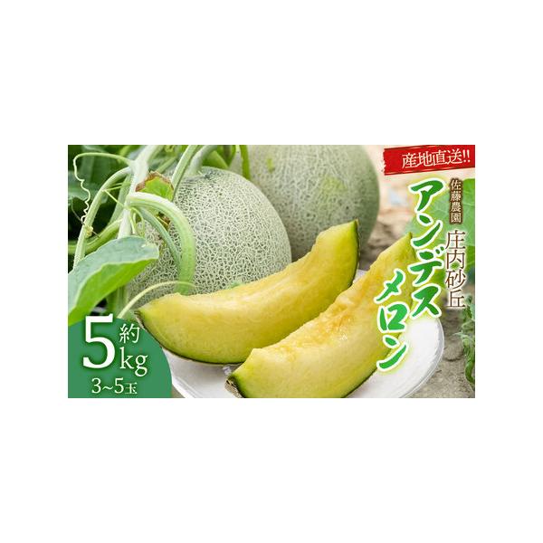 ■ 容量　庄内砂丘アンデスメロン　約5kg (3〜5玉)　　【産地名】山形県鶴岡市産　【提供事業者】鶴岡地区物産協同組合(佐藤農園)　　【賞味(消費)期限】生ものですので、お早めにお召し上がり下さい。　　≪美味しい召し上がり方≫　メロンの底...