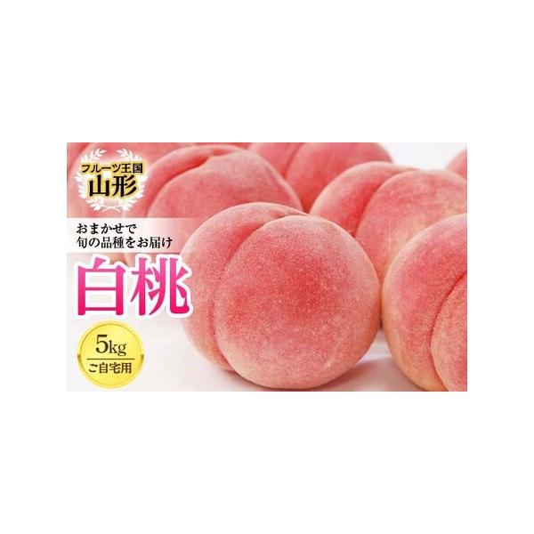 ■ 容量　山形県産白桃　〇秀又は秀5kg(10〜25玉程度)ご自宅用■ 配送について　2026年7月中旬頃〜10月中旬頃　タイプ：【冷蔵】