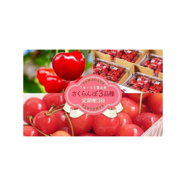 ■ 容量　♪先行予約♪2026年出荷　山形の代表するくだものさくらんぼを３品種定期便でお届けします。　【1回目】6月 さくらんぼ 紅さやか Lサイズ以上 360g 秀品（180g×2P ）冷蔵　5月下旬〜6月中旬お届け　【2回目】6月 さく...