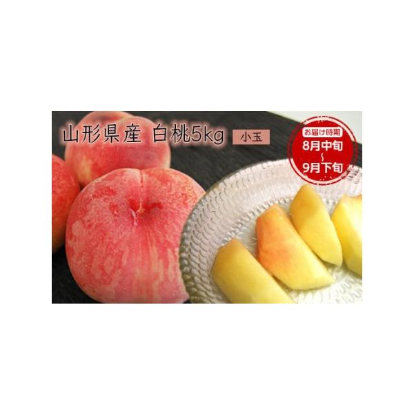 ■ 容量　山形県産　白桃　約5kg　20〜25玉　《品種》　川中島・伊達白桃・幸茜・さくら・白根白桃・西王母・桃水(果肉が柔らかくなる品種・8月中旬〜9月下旬に収穫時期を迎える品種)■ 配送について　2026年8月中旬頃〜9月下旬頃　タイプ...