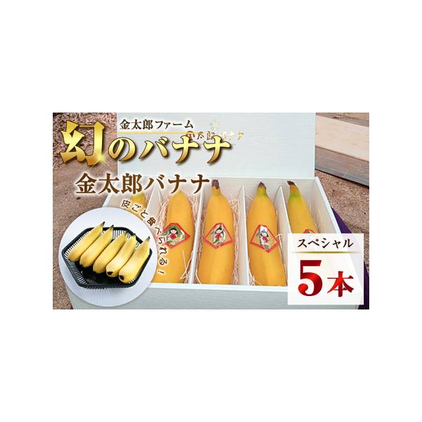 ■ 容量　1箱（5本入り）化粧箱　約650g以上■ 配送について　寄附受付後30営業日以内に出荷　　返礼品到着後レビューご記入をお願い致します。　　・寄附申込みのキャンセル、返礼品の変更、返礼品の納期指定、のし対応・返品や返金はできかねます...