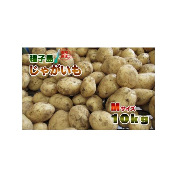 ■ 容量　２Lサイズ（約140g〜220g）　10kg■ 配送について　2026年1月中旬〜　準備が整い次第、順次発送いたします。　タイプ：【常温】