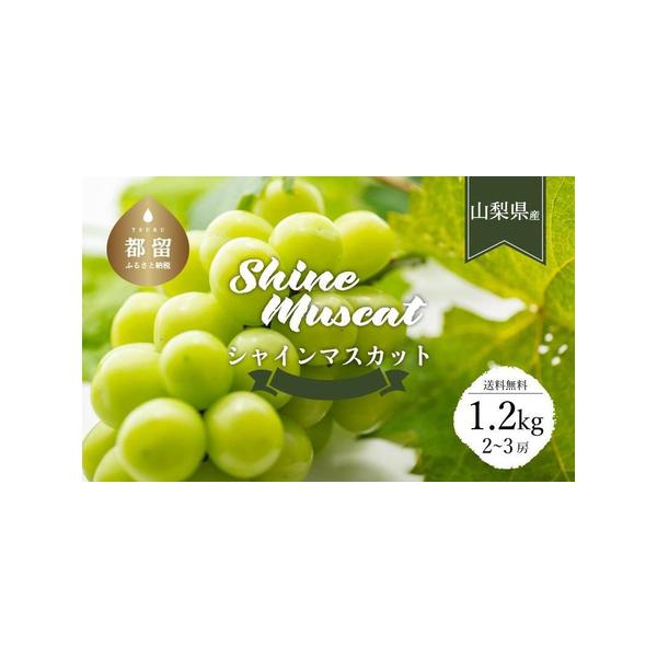■ 容量　シャインマスカット1.2kg(2〜3房)■ 配送について　※こちらは2026年の先行予約品となります　　【注意事項】　・沖縄・離島への配送は致しかねます。　・配送先のご住所に変更が生じた場合は、お早目にお知らせ下さい。　（事前に新...