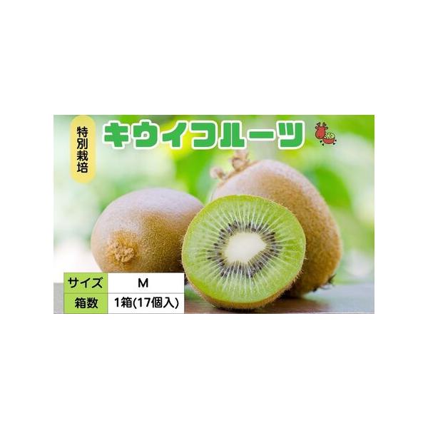 ■ 容量　Ｍサイズ 17個入 1個あたり105ｇ前後　■ 配送について　12月~3月にかけて順次発送予定　　タイプ：【常温】