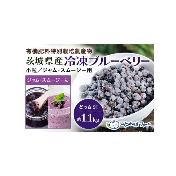 ■ 容量　冷凍ブルーベリー（小粒） 1.1kg（550g×2袋）　※在庫がなくなり次第終了になります※■ 配送について　入金確認後、順次発送いたします。　タイプ：【冷凍】