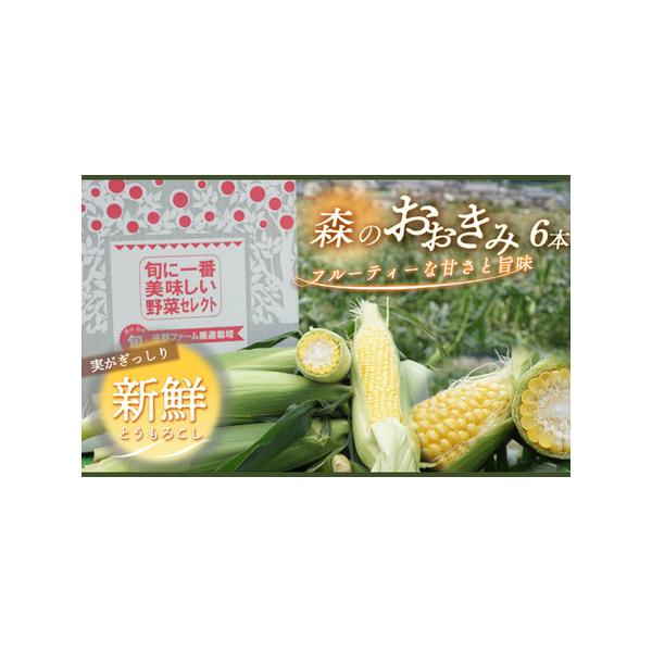 ■ 容量　森のおおきみ（とうもろこし）6本入り　1箱2.7kg以上（1本当たり450g以上）　周智郡森町産　■ 配送について　2026年6月15日〜7月5日　　タイプ：【冷蔵】