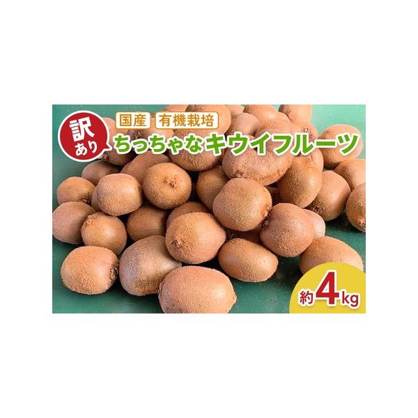 ■ 容量　■内容量：キウイフルーツ (品種：ヘイワード) 約4kg　　■賞味期限：到着後お早めにお召し上がりください。　　■アレルギー品目：キウイフルーツ　※リンゴで追熟を行っています。■ 配送について　2025年12月中旬から発送。　それ...