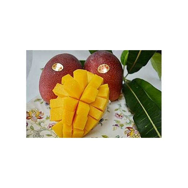 ■ 容量　マンゴー(アーウィン種) 2〜3玉 約1kg　　生産地：石垣市■ 配送について　6月からの発送予定になります。　天候等により変動する可能性もございます。　タイプ：【冷蔵】