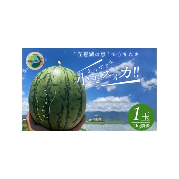 ■ 容量　1箱1玉（1玉2kg前後）■ 配送について　2026年6月?8月初旬お届け予定　タイプ：【常温】