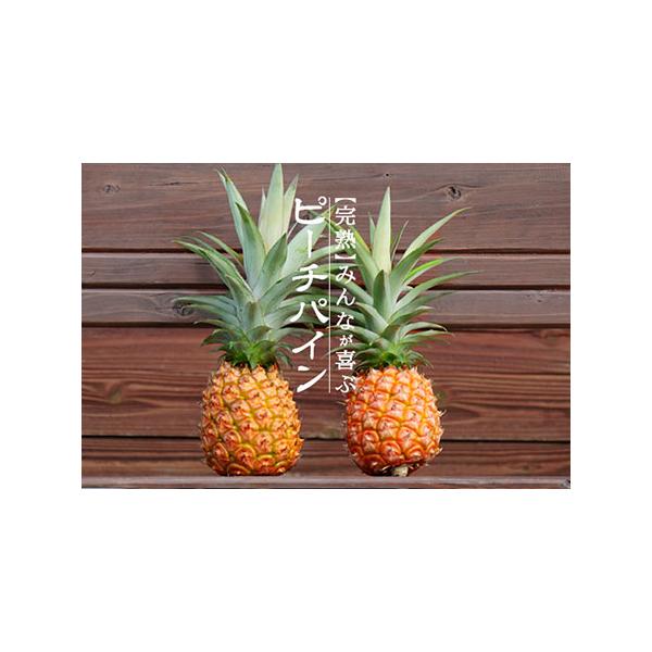 ■ 容量　重量：3玉入 約2kg（目安：1.7kg~2.2kg）※あくまで目安です。　サイズ：おまかせ不選別（目安：500g〜800g）※サイズ指定不可　　製造地：石垣市　　■破損や傷みのある場合は対応します！　「届いた商品が傷んでいた」「...