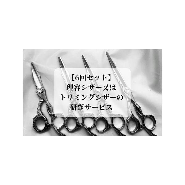 ■ 容量　研ぎサービスチケット×6枚■ 配送について　寄附納入確認後、1か月以内に発送します。　タイプ：【常温】