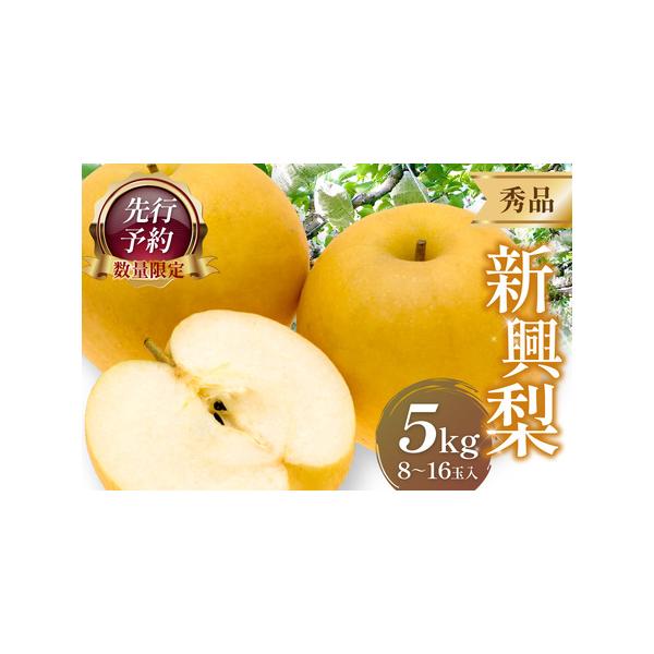■ 容量　5kg（8〜16玉）　　【原材料】　新興梨：新興梨(京丹後産)　　【賞味期限】　出荷日から20日間　　【保存方法】　冷暗所にて常温保存■ 配送について　【配送可能期間】　2026年10月上旬〜11月下旬　配送可能時期より1ヶ月以内...