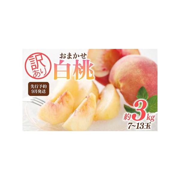 ■ 容量　内容量：山形県産 白桃 約3kg（7〜13玉）　品　種：川中島、青空むすめ、ゆうぞら、さくら、伊達白桃、玉うさぎ、西王母 など　　※品種及び玉数の指定はできません。　※発送時期に旬を迎えた品種でお送りいたします。　※状況により品種...