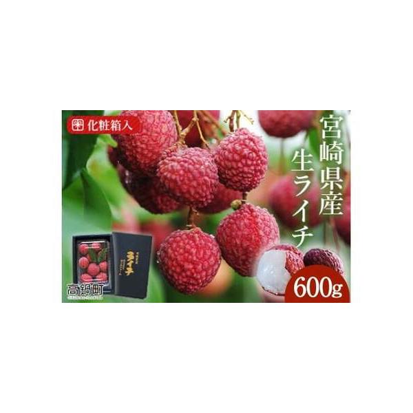■ 容量　約600g■ 配送について　入金確認後、2026年7月中に順次出荷　タイプ：【冷蔵】