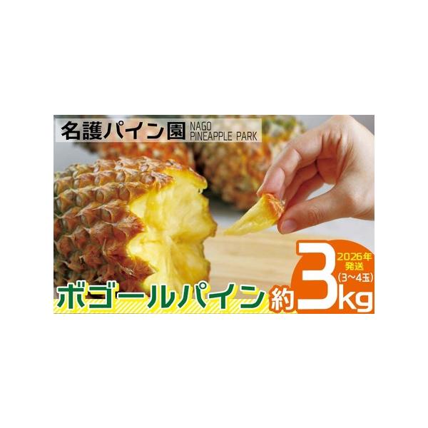 ■ 容量　ボゴールパイン　約3kg（3〜4玉）■ 配送について　2026年4月下旬〜7月下旬発送　タイプ：【冷蔵】