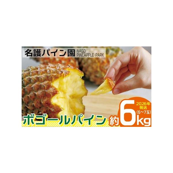 ■ 容量　ボゴールパイン　約6kg（6〜7玉）■ 配送について　2026年4月下旬〜7月下旬発送　タイプ：【冷蔵】
