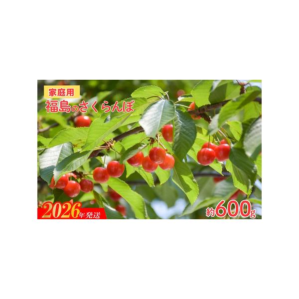 ■ 容量　さくらんぼ（佐藤錦・紅秀峰・紅てまりのいずれか）約600ｇ/バラ詰、小粒■ 配送について　発送期日：2026年6月上旬から2026年7月上旬発送予定　タイプ：【冷蔵】