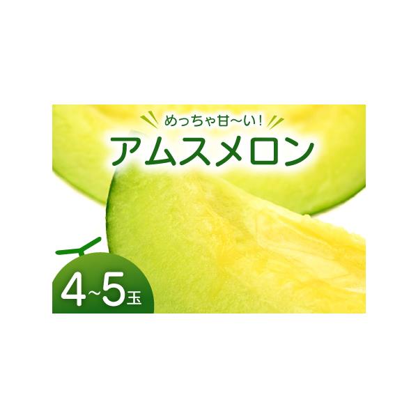■ 容量　アムスメロン4〜5玉入り■ 配送について　【季節限定】6月中旬〜6月末　※6月中旬以降よりお申込み順に順次発送いたします。　※天候や収穫状況により、出荷の時期が前後する場合がございます。　タイプ：【常温】