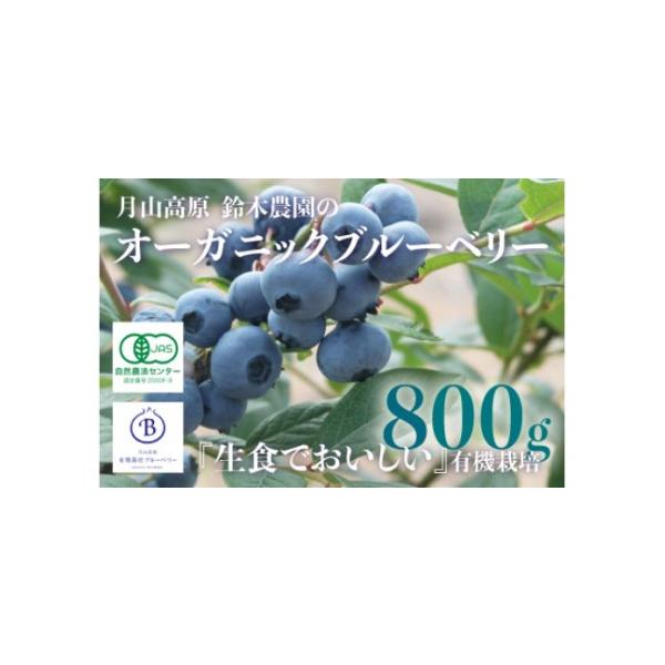 ■ 容量　月山高原ブルーベリー　800g（大粒）　　【提供事業者】月山高原鈴木農園　　【賞味(消費)期限】到着後は冷蔵保存しお早目にお召し上がり下さい　　▲冷凍する場合はブルーベリーは洗わずにそのまま冷凍してください。（水に濡れると痛みやす...