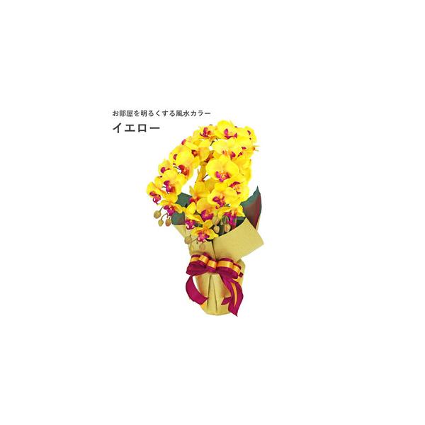 ■ 容量　1個　高さ：約65cm　幅：約35cm　奥行：約35cm■ 配送について　通年　タイプ：【常温】【ギフト】