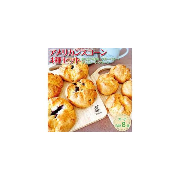 ■ 容量　アメリカンスコーン梅・ブルーベリー・チョコレート・プレーン　4種類（大・小サイズ×各1個）　計8個　■ 配送について　ご入金確認後、14日程度で順次発送いたします。　　タイプ：【冷凍】