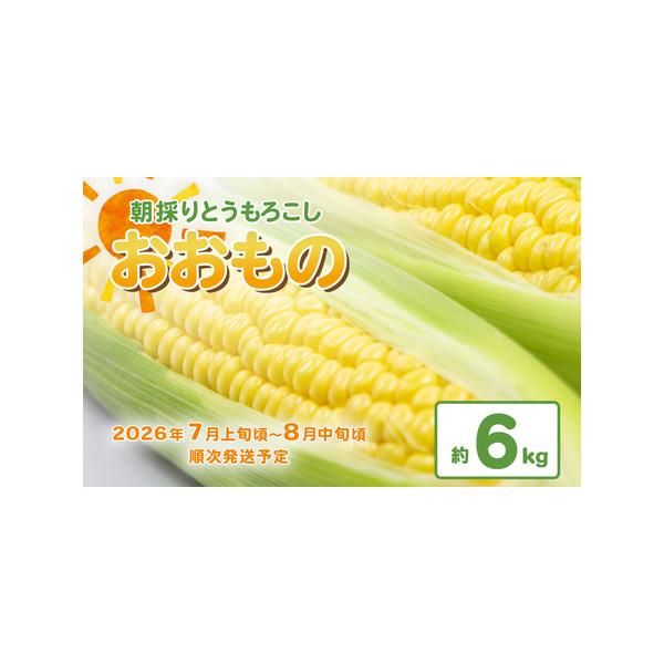 ■ 容量　とうもろこし（おおもの）約6kg■ 配送について　2026年7月上旬〜8月中旬頃 順次発送予定　※天候の影響で収穫時期が前後する場合がございます。予めご了承ください。　※伊豆諸島（大島・八丈島を除く）及び小笠原村（小笠原諸島）への...