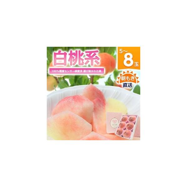 ■ 容量　※上記に記載■ 配送について　2026-07-20〜2026-08-31　タイプ：【冷蔵】