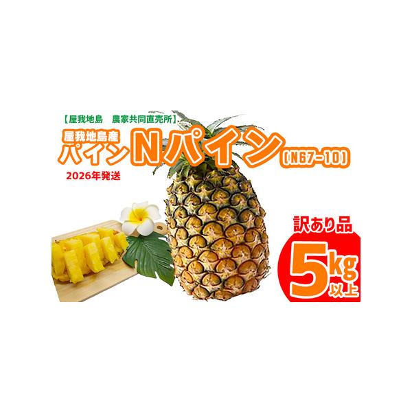 ■ 容量　名護市屋我地島産　訳あり　Nパイン(N67-10)　5kg以上　5玉〜9玉　　※玉数の指定はできません。　※複数の農家からランダムに選び発送します。　※農家のご指定はできませんのでご了承ください。■ 配送について　2026年7月中...