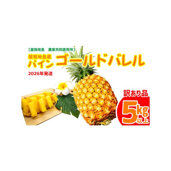 ■ 容量　名護市屋我地島産　訳あり　ゴールドバレル約5kg　※玉数の指定はできません。　※複数の農家からランダムに選び発送します。　※農家のご指定はできませんのでご了承ください。■ 配送について　2026年7月中旬〜8月中旬頃　タイプ：【冷蔵】