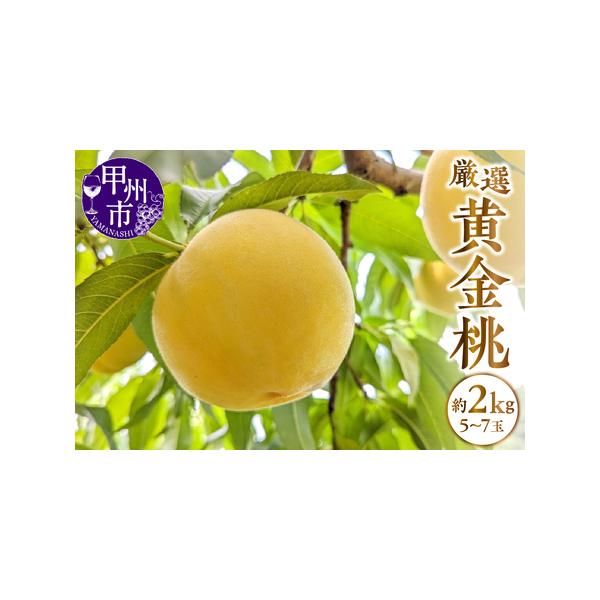 ■ 容量　甲州市産 黄金桃 約2kg（5〜7玉）　　【申込期日】　2026年8月下旬頃まで　【消費期限】　到着次第、お早めにお召し上がりください。　【アレルギー品目】　もも　　【注意事項】　※上記注意事項を必ずご確認ください。　※画像はイメ...