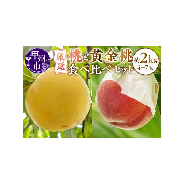 ■ 容量　甲州市産 桃と黄金桃の食べ比べセット 約2kg（4〜7玉）　　【申込期日】　2026年8月中旬頃まで　【消費期限】　到着次第、お早めにお召し上がりください。　【アレルギー品目】　もも　　【注意事項】　※上記注意事項を必ずご確認くだ...