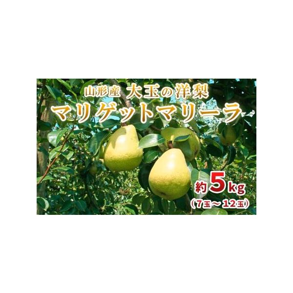 ■ 容量　【令和8年産】　　マリゲットマリーラ 秀品 約5kg(7玉〜12玉)■ 配送について　【申込期日】2026年08月31日まで　【発送期間】2026年09月15日頃〜2026年10月15日頃　※状況により配送時期が前後する場合がござ...