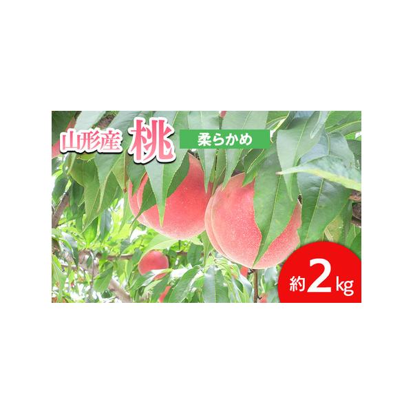 ■ 容量　【令和8年産】　山形の桃【柔らかめ】約2ｋｇ（4〜9玉）　品種：あかつき・川中島白桃・いけだ・夏かんろ・夏雄美・陽夏妃・なつっこ・なつおとめ　より旬なもの　　　　　※品種・玉数はお選びいただけません。　※天候や収穫状況により品種を...