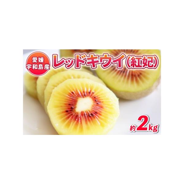 ■ 容量　レッドキウイ　約2kg■ 配送について　9/15〜9月末　タイプ：【冷蔵】