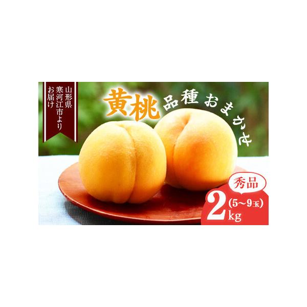 ■ 容量　【容量】　2026年産（令和8年産）　山形県産（寒河江市産）　黄桃 品種おまかせ 秀品 2kg（5〜9玉）　　「月あかり、黄金桃、黄貴妃、黄ららのきわみ、スウィート光黄、きなつ、西尾ゴールド、光月、ラストゴールド」などから１品種　...