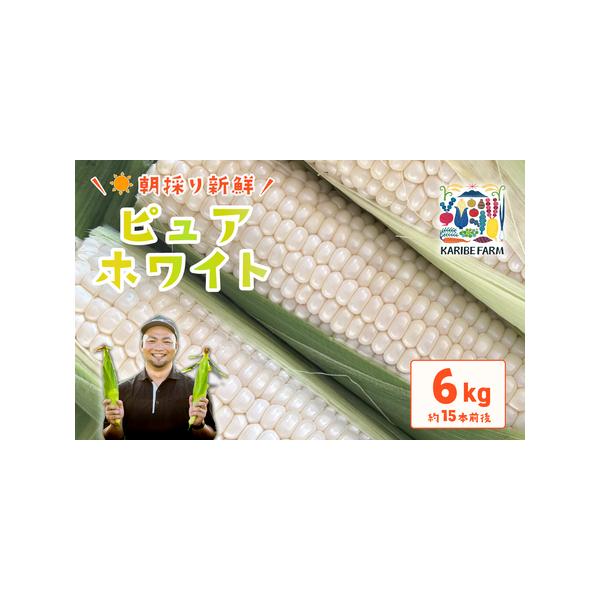 ■ 容量　とうもろこし（ピュアホワイト）約6kg 約15本前後■ 配送について　2026年6月下旬? 順次発送予定　※天候の影響で収穫時期が遅れる場合がございます。予めご了承ください。　※伊豆諸島（大島・八丈島を除く）及び小笠原村（小笠原諸...
