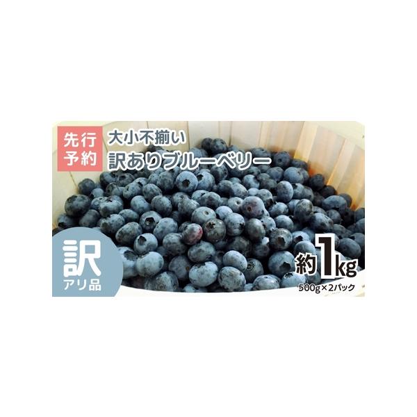 ■ 容量　ブルーベリー約500g×2パック（大小不揃い訳あり品）■ 配送について　2026年6月中旬頃より収穫後、発送開始　収穫後は入金確認後、1週間〜1ヶ月前後でお届け予定　最終発送：2026年8月下旬頃　※生育状況により、前後する場合が...