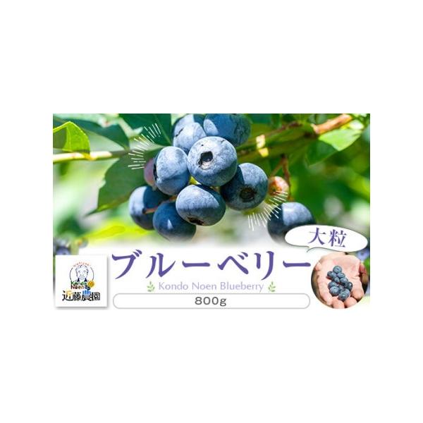 ■ 容量　冷凍ブルーベリー　800g（100g×8個）　　【取扱事業者】近藤農園■ 配送について　通年（在庫がなくなり次第終了）　タイプ：【冷凍】