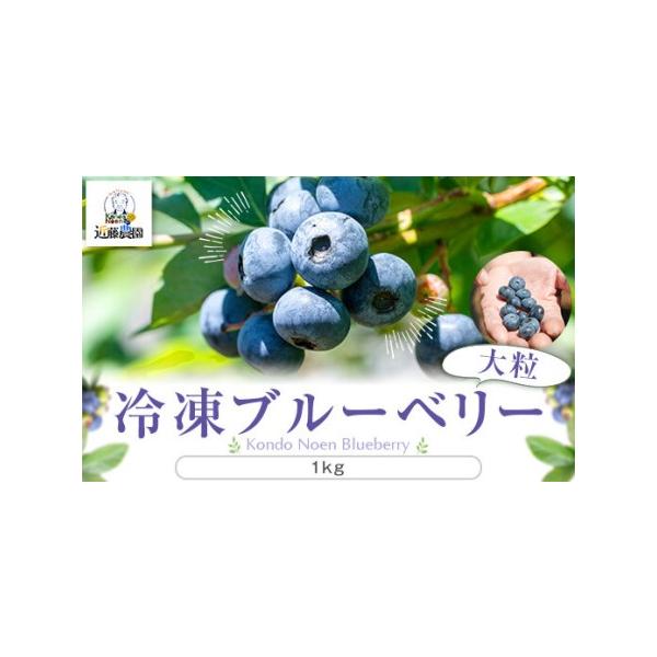 ■ 容量　・冷凍ブルーベリー1kg（500g×2パック）　【取扱事業者】近藤農園■ 配送について　通年（在庫がなくなり次第終了）　タイプ：【冷凍】