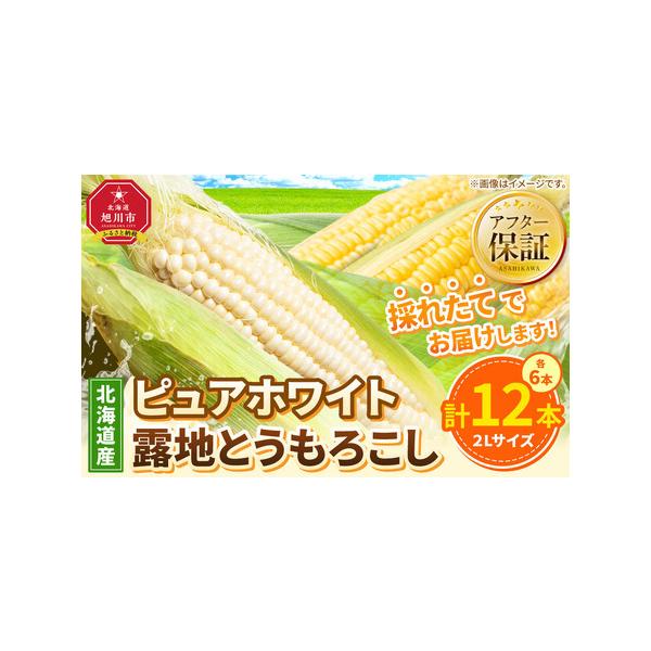 ■ 容量　各2Lサイズ6本　合計12本　【賞味期限】　冷暗所で保存いただき、お早目にお召し上がりください■ 配送について　2026年8月中旬より順次発送予定　【受付期間】　〜2026年8月3日　タイプ：【冷蔵】