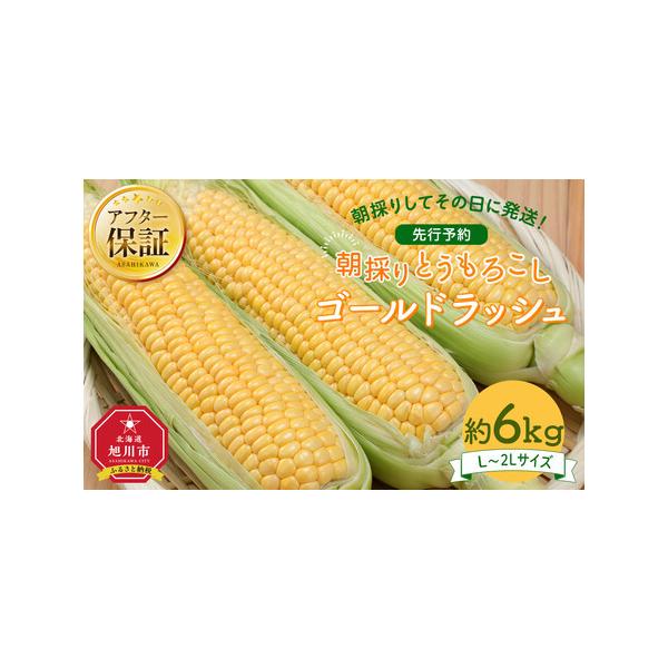 ■ 容量　ゴールドラッシュ約6kg　(L〜2Lサイズ×15本)　【賞味期限】　発送日より7日前後■ 配送について　2026年8月下旬より順次発送　【受付期間】　〜2026年8月31日　タイプ：【冷蔵】
