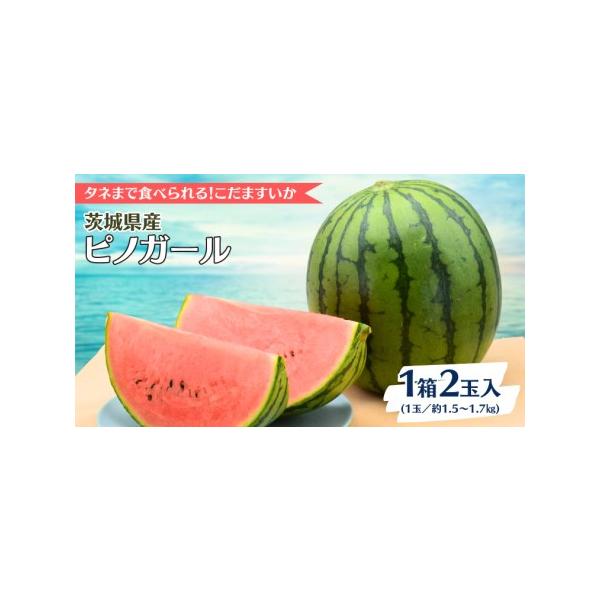 ■ 容量　１箱2玉入（目安１玉1.5〜1.7kg）■ 配送について　入金確認後、2026年5月中旬から6月下旬までにかけて発送　※発送時期は、例年の発送時期になっております。その年の天候や発育によりお届けが遅れる、又は早まることがあります。...