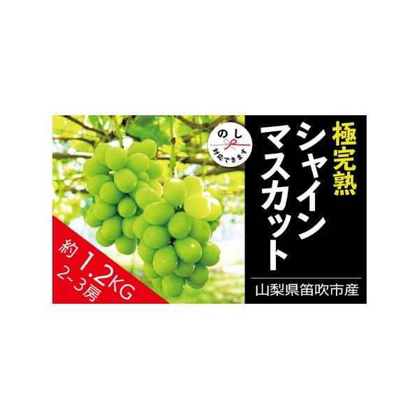■ 容量　シャインマスカット 2-3房約1.2kg■ 配送について　※沖縄・離島への配送はできません。　タイプ：【常温】【のし】