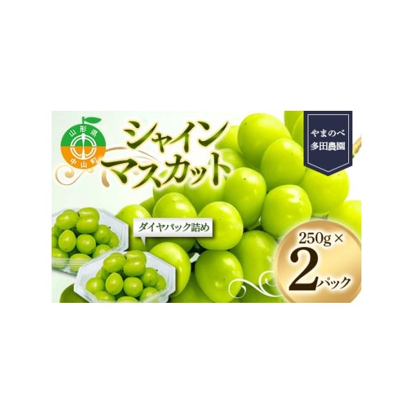 ■ 容量　シャインマスカット ダイヤパック詰め 250g×2 パック■ 配送について　2026年9月中旬〜10月上旬頃までに発送予定　タイプ：【常温】