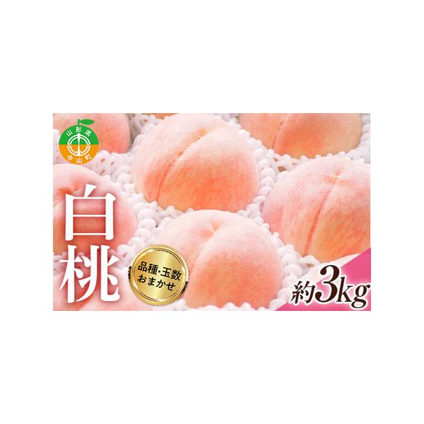 ■ 容量　山形県産 白桃（品種・玉数おまかせ7〜12玉）約3kg■ 配送について　2025年7月下旬頃〜9月中旬頃　タイプ：【冷蔵】