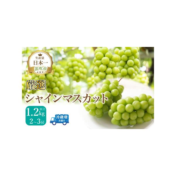 ■ 容量　厳選シャイン1.2kg（2〜3房）■ 配送について　8月中旬〜10月上旬頃を予定　※沖縄・離島への配送はできません。　タイプ：【冷蔵】